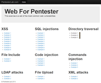 Pentester Lab: Web For Pentester ~ VulnHub