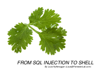 Pentester Lab: From SQL injection to Shell ~ VulnHub